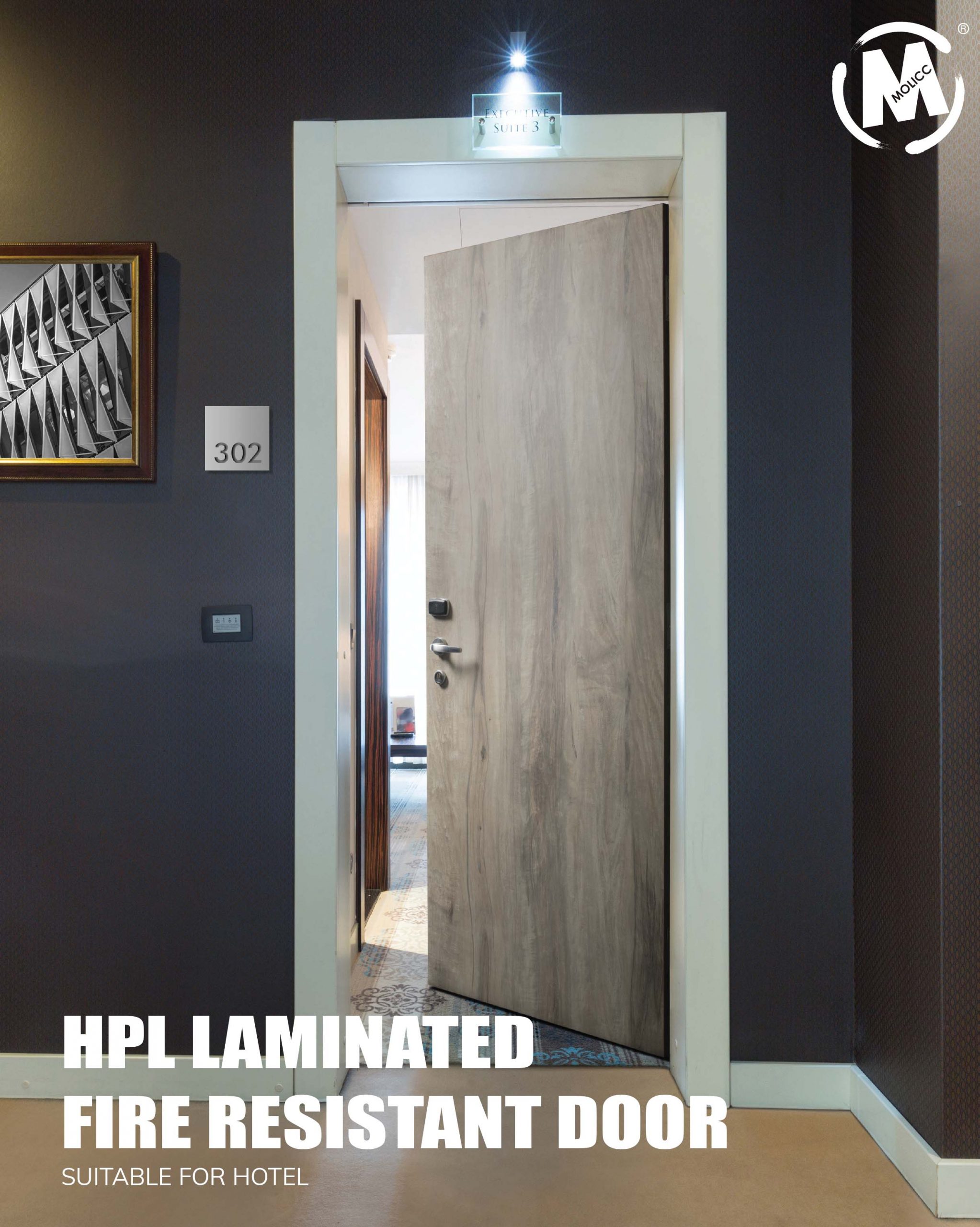 Molicc HPL Fire-rated Door | Buildex.my