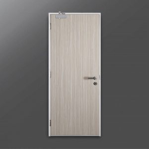 Econframe Veneer Door - Buildex.my